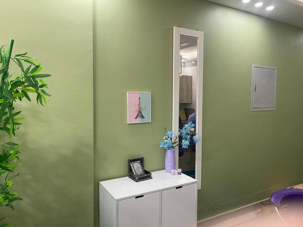 Up to 25% off - Fully furnished apartment at Celia, New Administrative ...