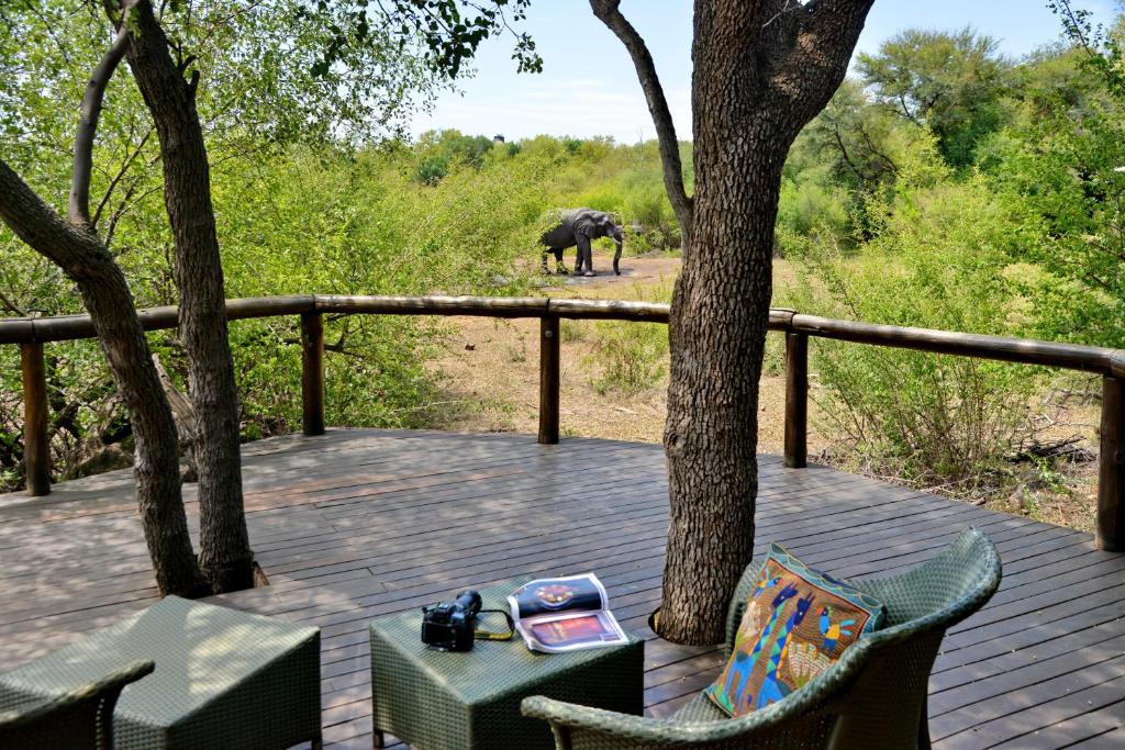 Motswiri Private Safari Lodge, Madikwe Game Reserve | 2024 Updated ...