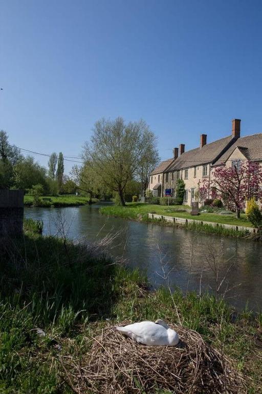 Best Price on Wishbone Cottage In The Cotswolds in Fairford + Reviews!