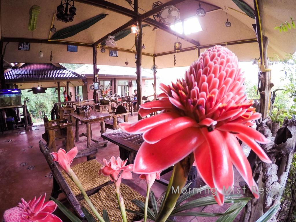 Morning Mist Resort, Khao Sok (Suratthani) | 2024 Updated Prices, Deals