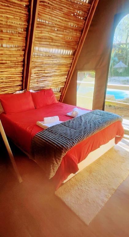 Beach Island Graskop - 2025 Exclusive Deals