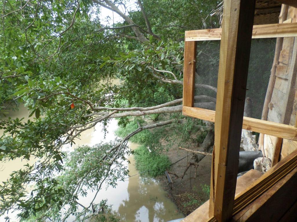 Kumbuk Tree House, Yala | 2024 Updated Prices, Deals