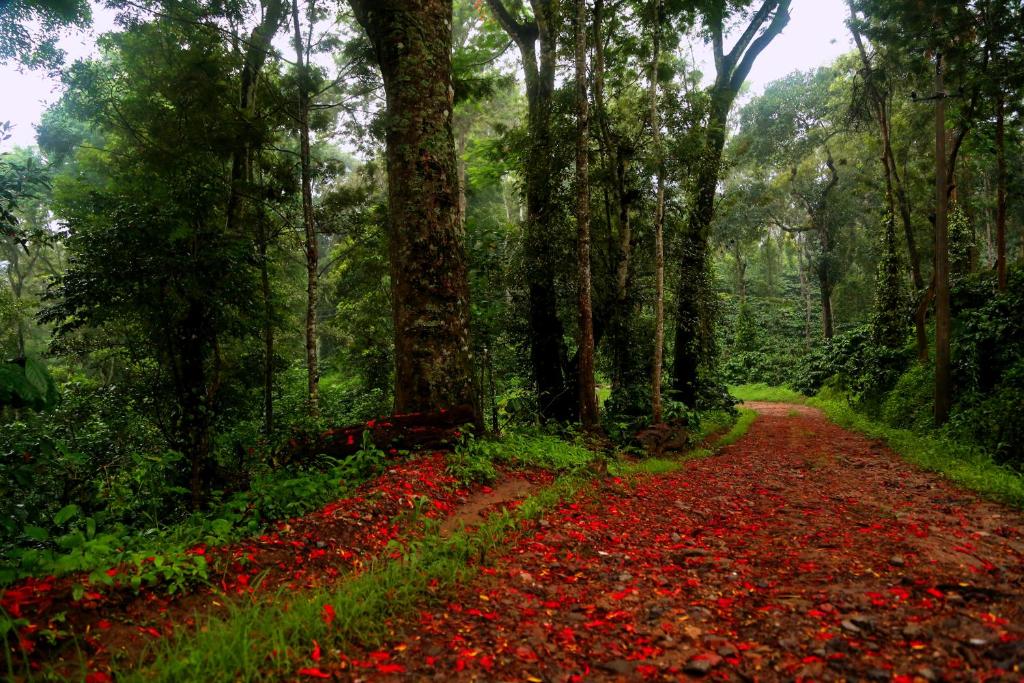 Old Kent Estates & Spa - Kodagu, Coorg | 2024 Updated Prices, Deals