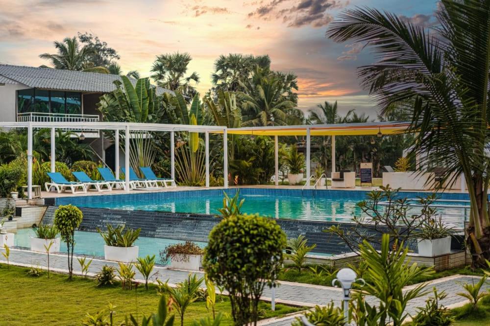 Foxoso LA Beach Resort, Goa, India - Photos, Room Rates & Promotions