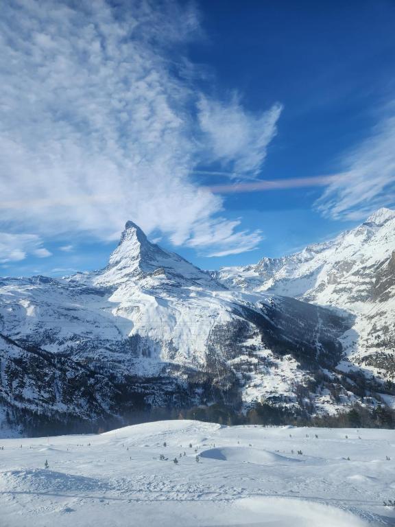 Sky Haus Residence, Appartement Tasch