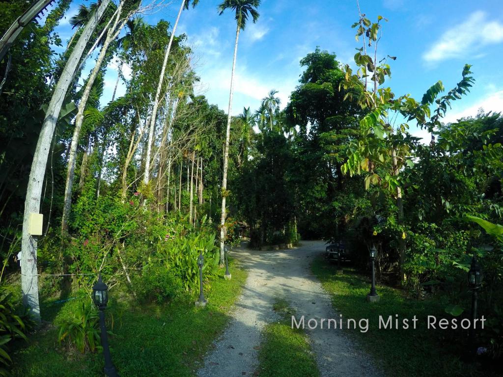 Morning Mist Resort, Khao Sok (Suratthani) | 2024 Updated Prices, Deals