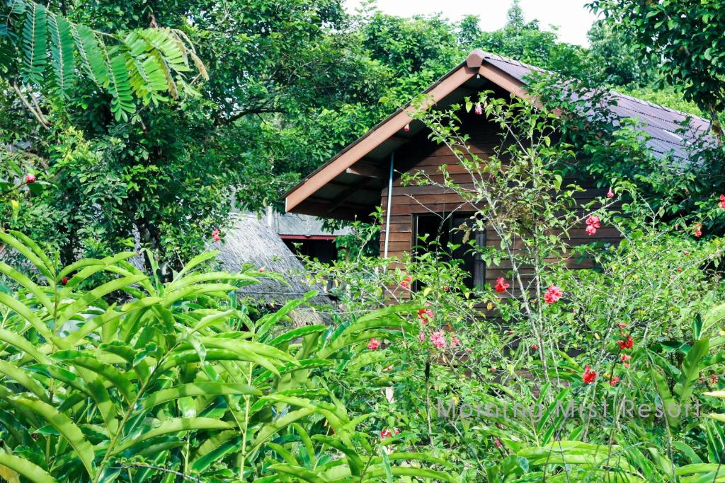 Morning Mist Resort, Khao Sok (Suratthani) | 2024 Updated Prices, Deals