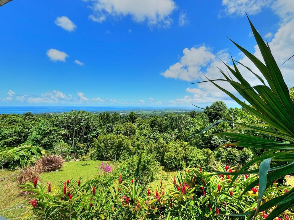 Domaine Les hauts de Sofaia - Évasion Créole - Vue Spectaculaire, Villa ...