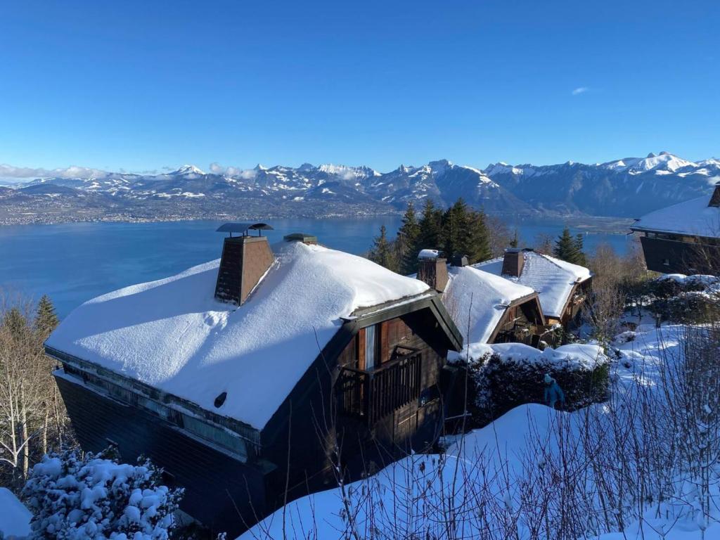 Chalet insolite, vue exceptionnelle, Chalet Meillerie