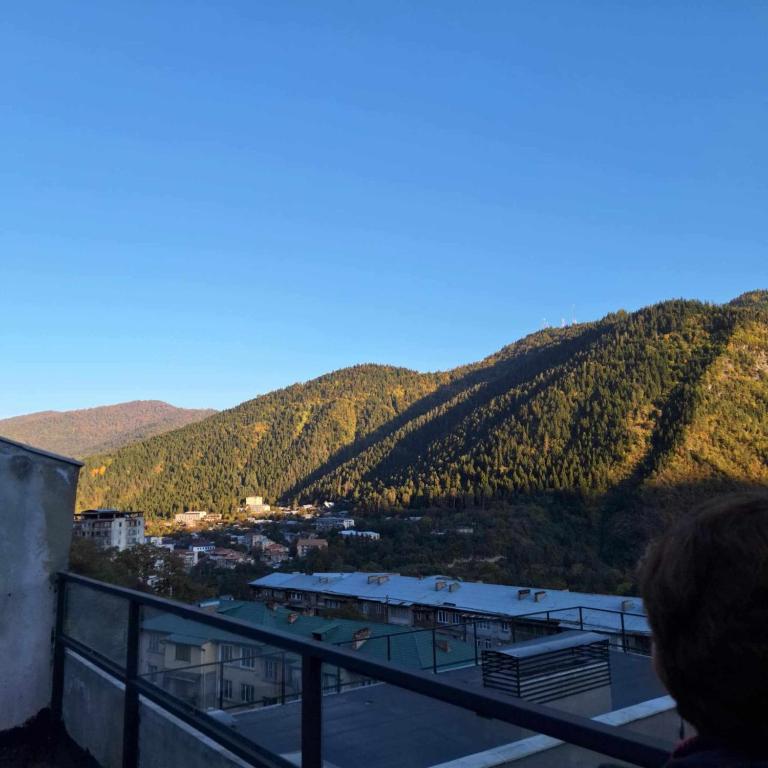 Likani - 407, Appartement Borjomi