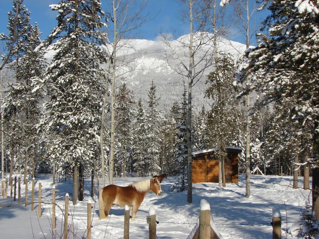 Mica Mountain Lodge & Log Cabins, Tête Jaune Cache (BC) | 2024 Updated ...