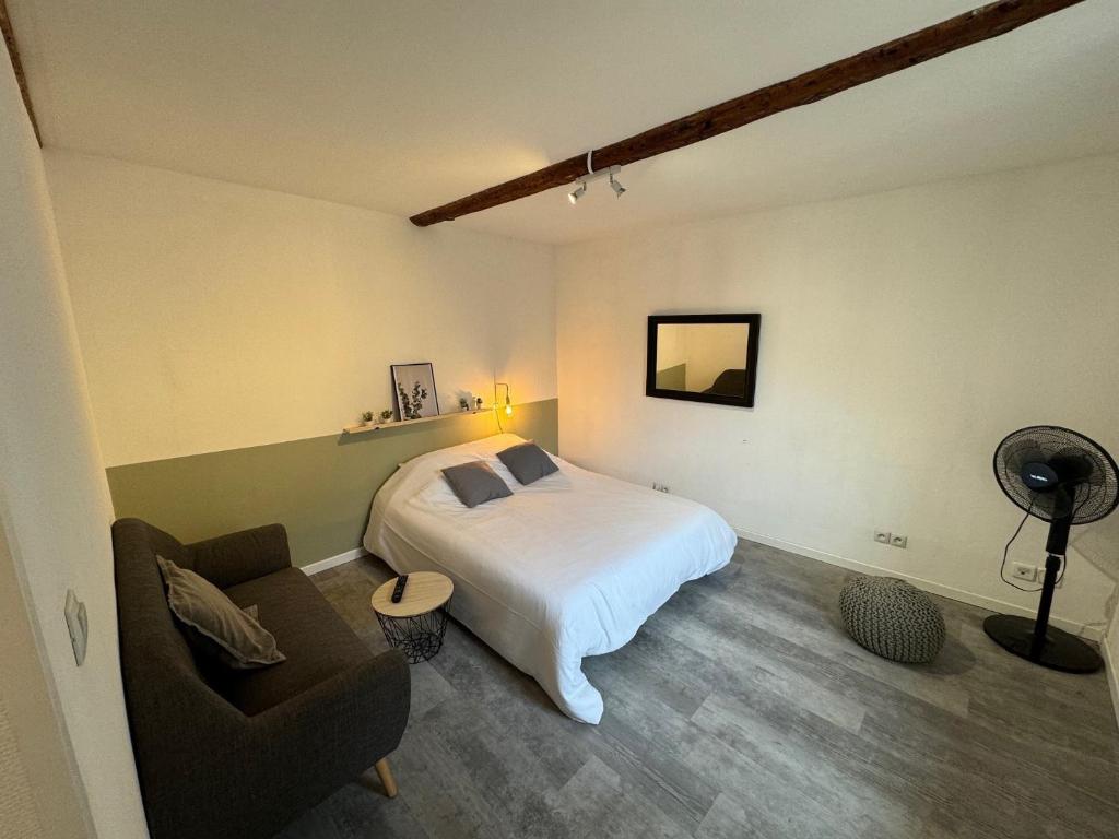 Grande Maison en colocation au coeur de Beziers, Casa vacanze Béziers
