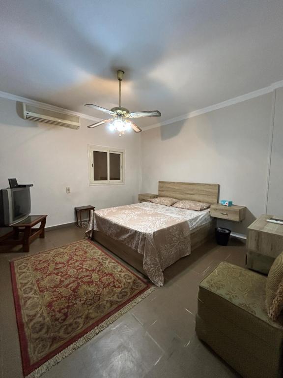 Heliopolis Apartment, next to City Stars, Cairo from $15pp