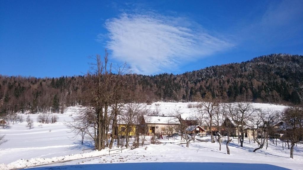 BOOK >> Apartment Vrtacnik in Solcava, Slovenia