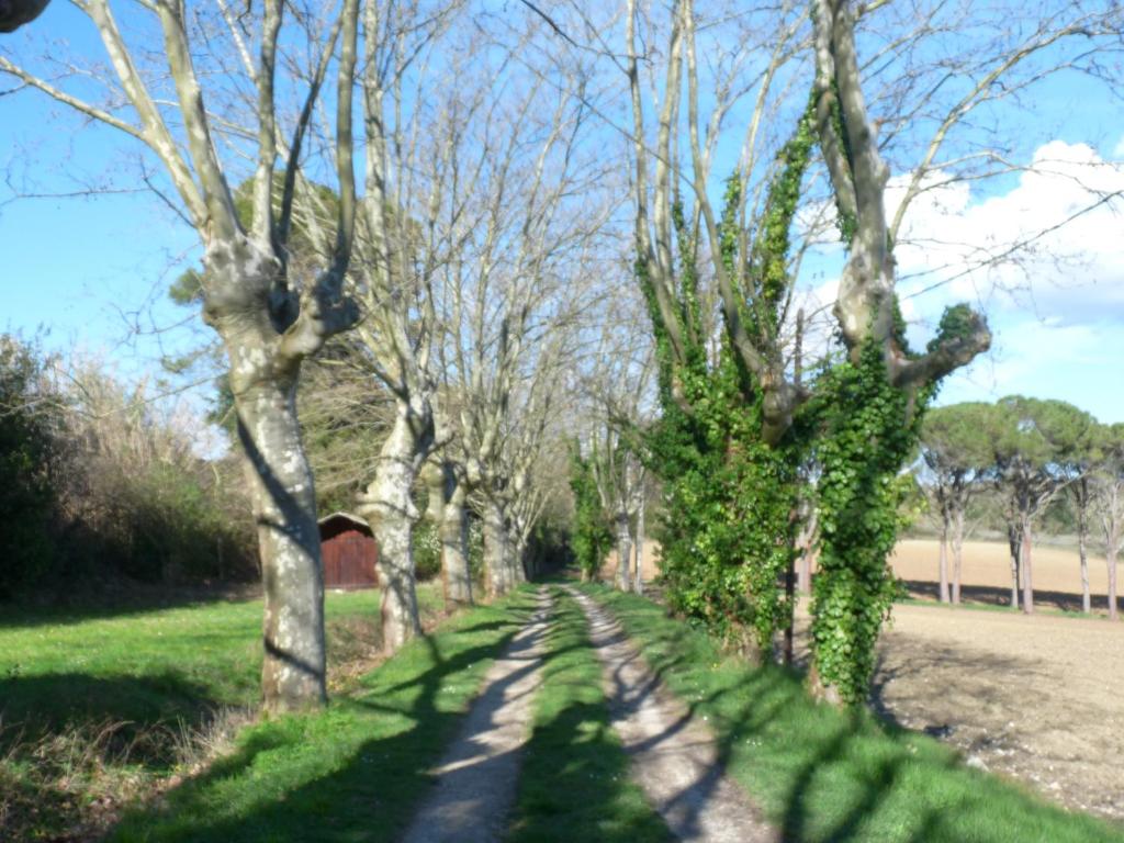 Book Chateau la Bouriette (Moussoulens) - 2020 PRICES FROM A$125!