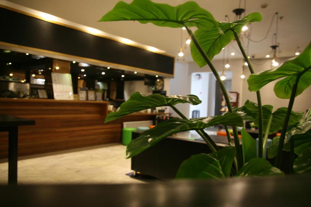 Shanghai Fish Inn Bund, Shanghai | 2024 Updated Prices, Deals