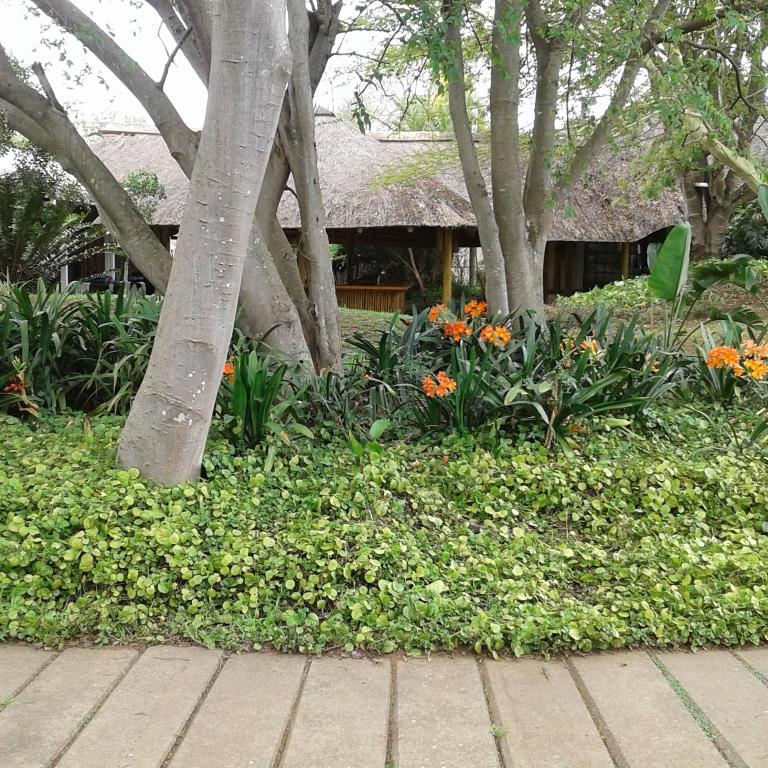 Ascot Inn, Pietermaritzburg | 2025 Updated Prices, Deals