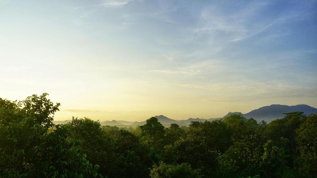 Sandra Resort Sigiriya, Inamaluwa from $16 - Book Now