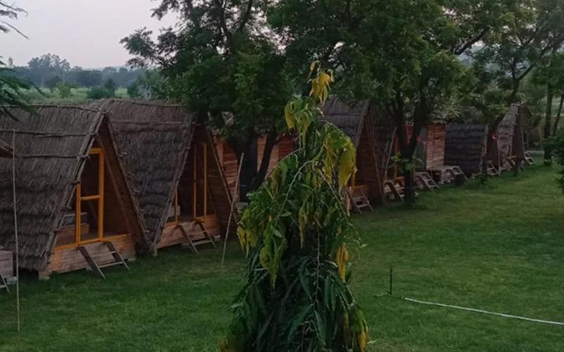 Rural Sense Organic Farm Stay, Faridabad from $11 - Book Now