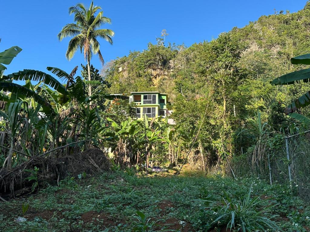 From $40pp - Exclusive Mountain and Farm Villa Escape, Spring Garden