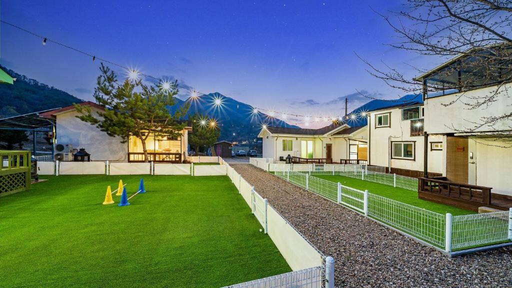 Danyang Machu Picchu Dog Garden from $53 - Book Now