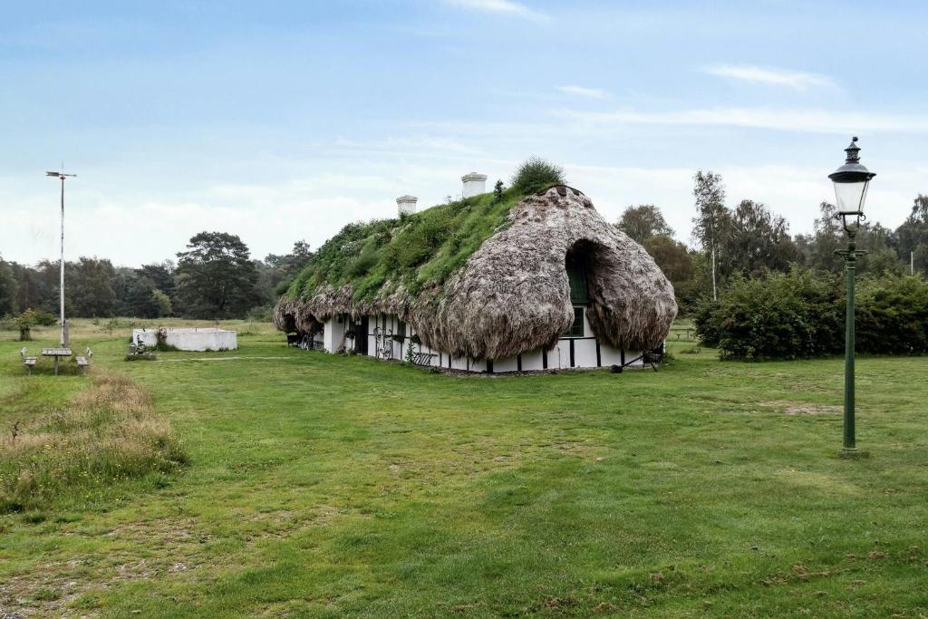 Unique Summer House With Seaweed Roof On Læsø from $40pp