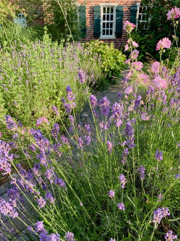 From €39pp - Rural Retreat With Garden In The Wendland Region, Hinte