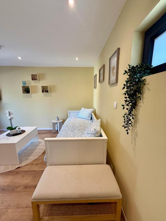 From €57pp - TinyMoko - Mons - proche du Shape et Pairi Daiza