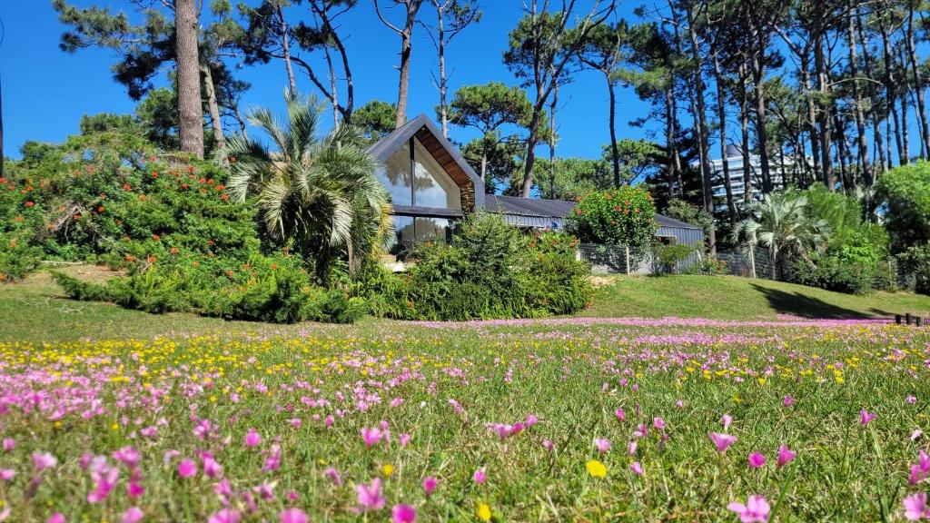 Dream house in San Rafael, Punta del Este from $14 - Book Now