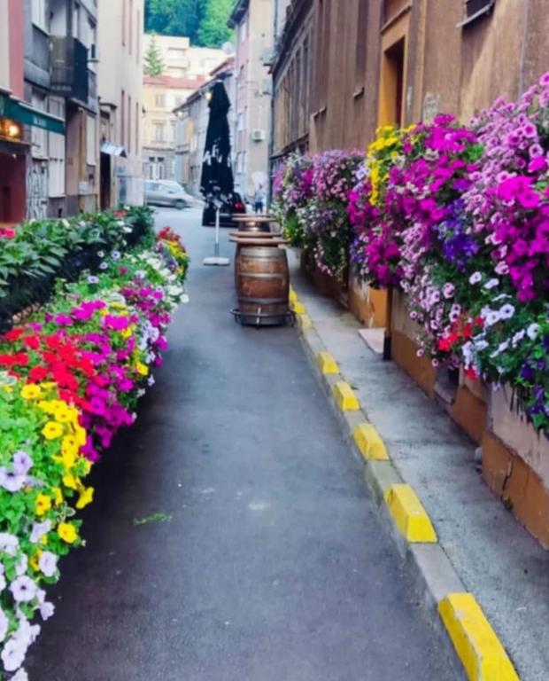 From €34 - Festina Lente Apartment-Center of the city, Sarajevo