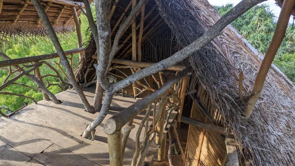 The Alpha monkey tree house, Tangalle from $13 - Book Now