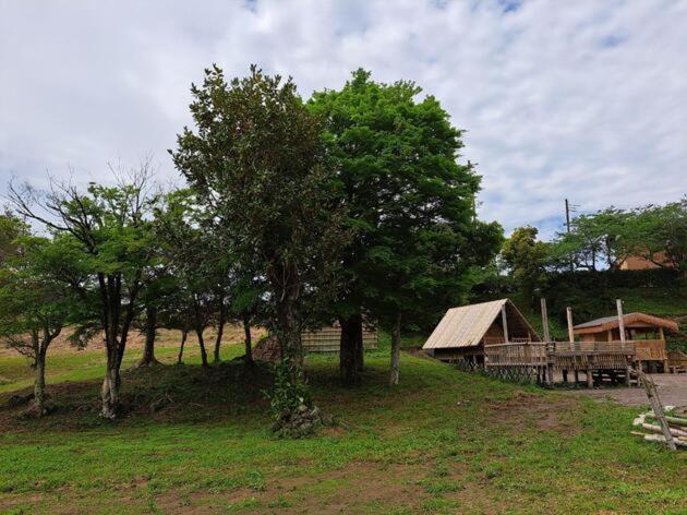 From $39pp - Bamboo Camp Site "Isumi Genji Firefly Village" - Vacation ...