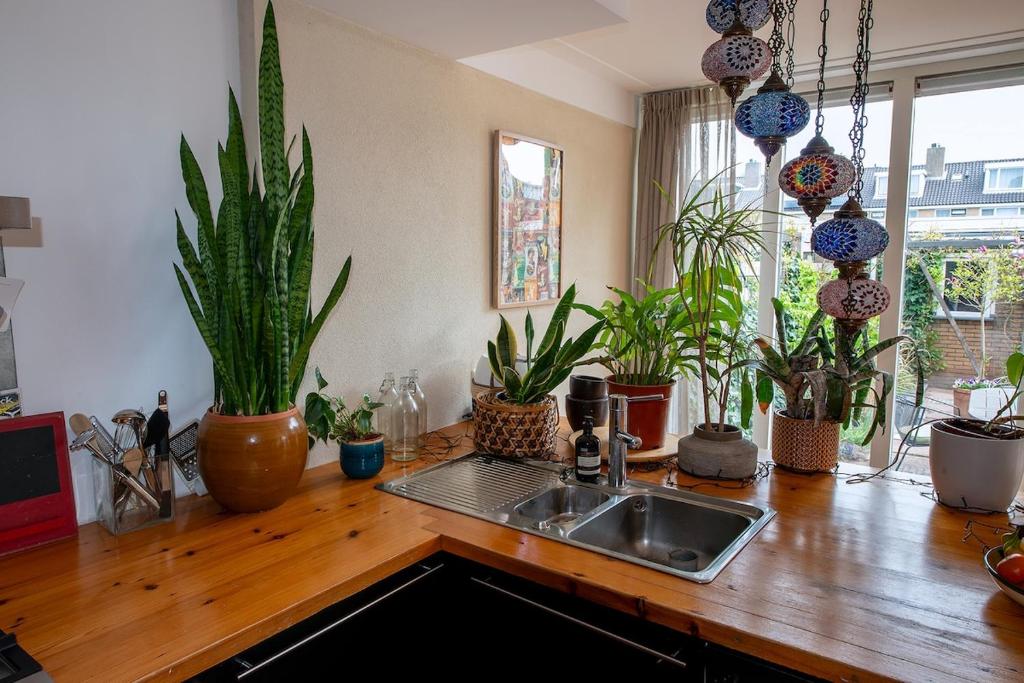Huize Zonnebloem, Beverwijk from €58pp - Book Now