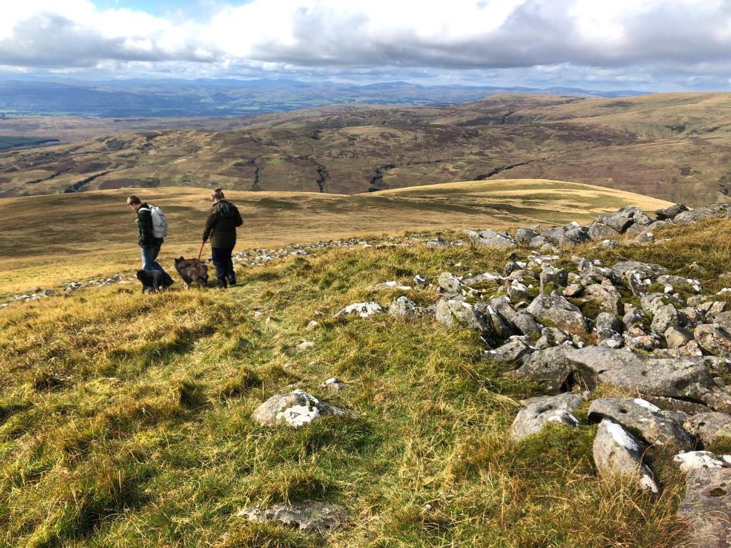 Burnside of Ae Glamping Shepherd's Hut, Dumfries from £40pp