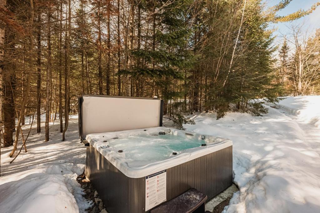 Fiddler Lake Resort - Deer 41, Mille Isles from $80