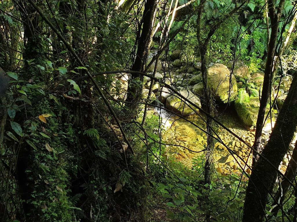 From $52 - Katikara Eco-Community - Rosewood accommodations, New Plymouth