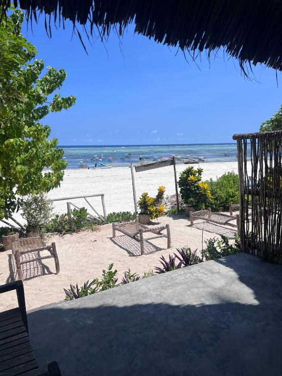 Kibwana Beach Bungalows & Diving, Matemwe from $41 - Book Now