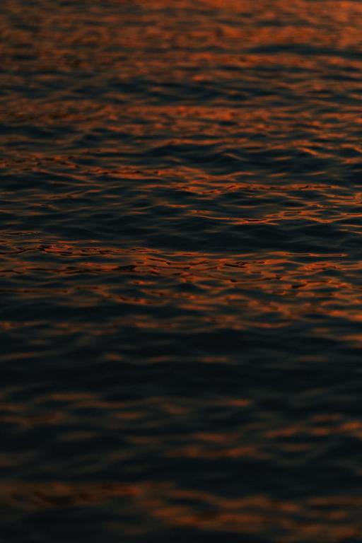 From $93 - Hotel Fork & Knife Miyajima - Opening in Mar 28th 2026 ...