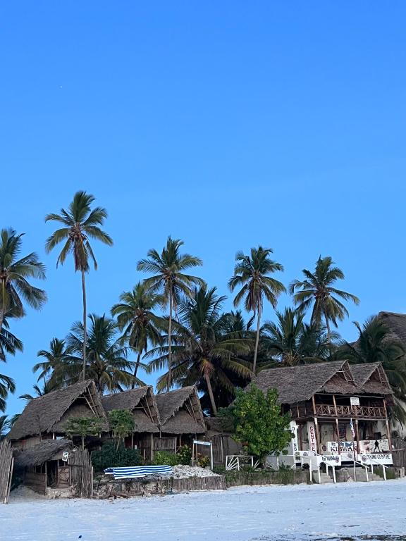 Kibwana Beach Bungalows & Diving, Matemwe from $41 - Book Now