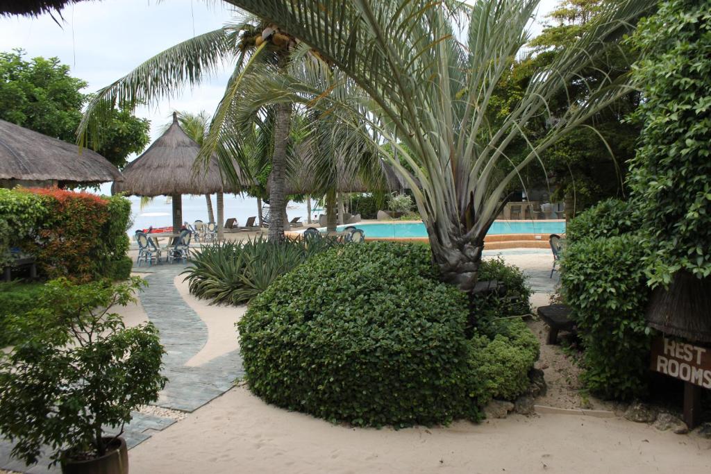 Linaw Beach Resort and Restaurant, Bohol | 2024 Updated Prices, Deals