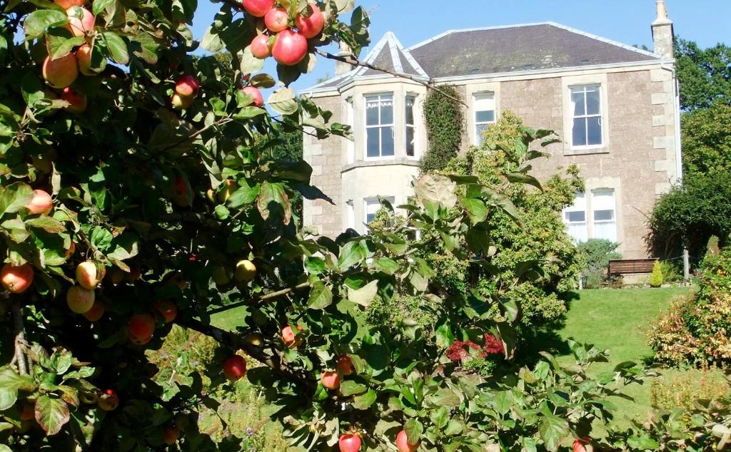 Top 10 Adults-Only Hotels In Scotland - Updated 2024 | Trip101