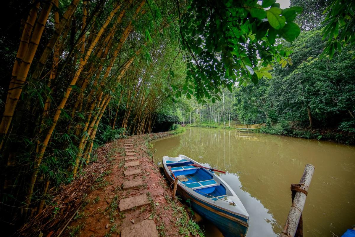 21 Best Resorts in Wayanad for the Perfect Stay