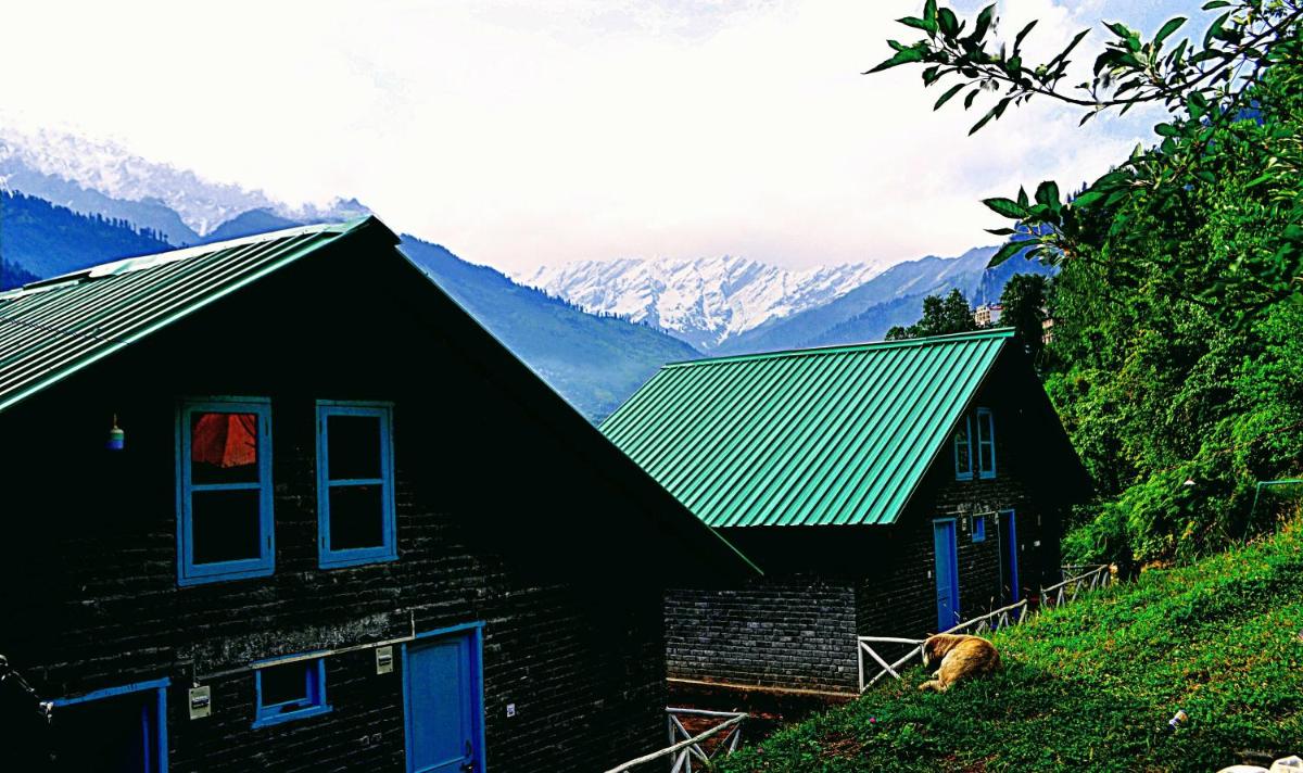12 Comfortable Homestays in Manali