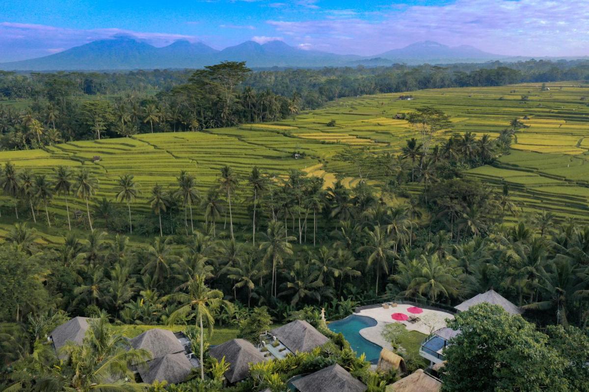 Puri Sebali Resort, Bali, Indonesia | Photos, Reviews & Deals @Holidify