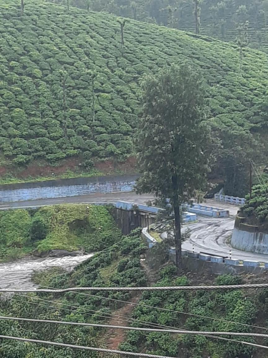 10 Best Resorts In Valparai (2024)