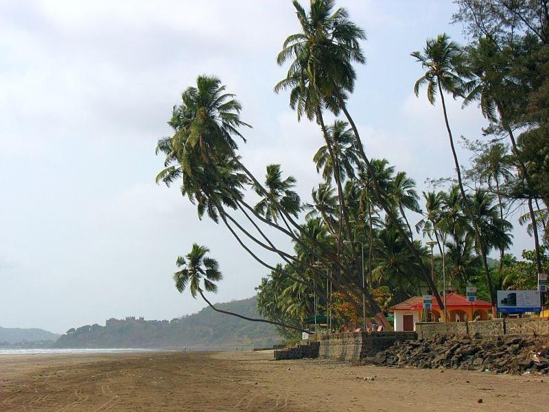 15 Beach Resorts In Diveagar (2024) | Updated Deals, Latest Reviews, Photos