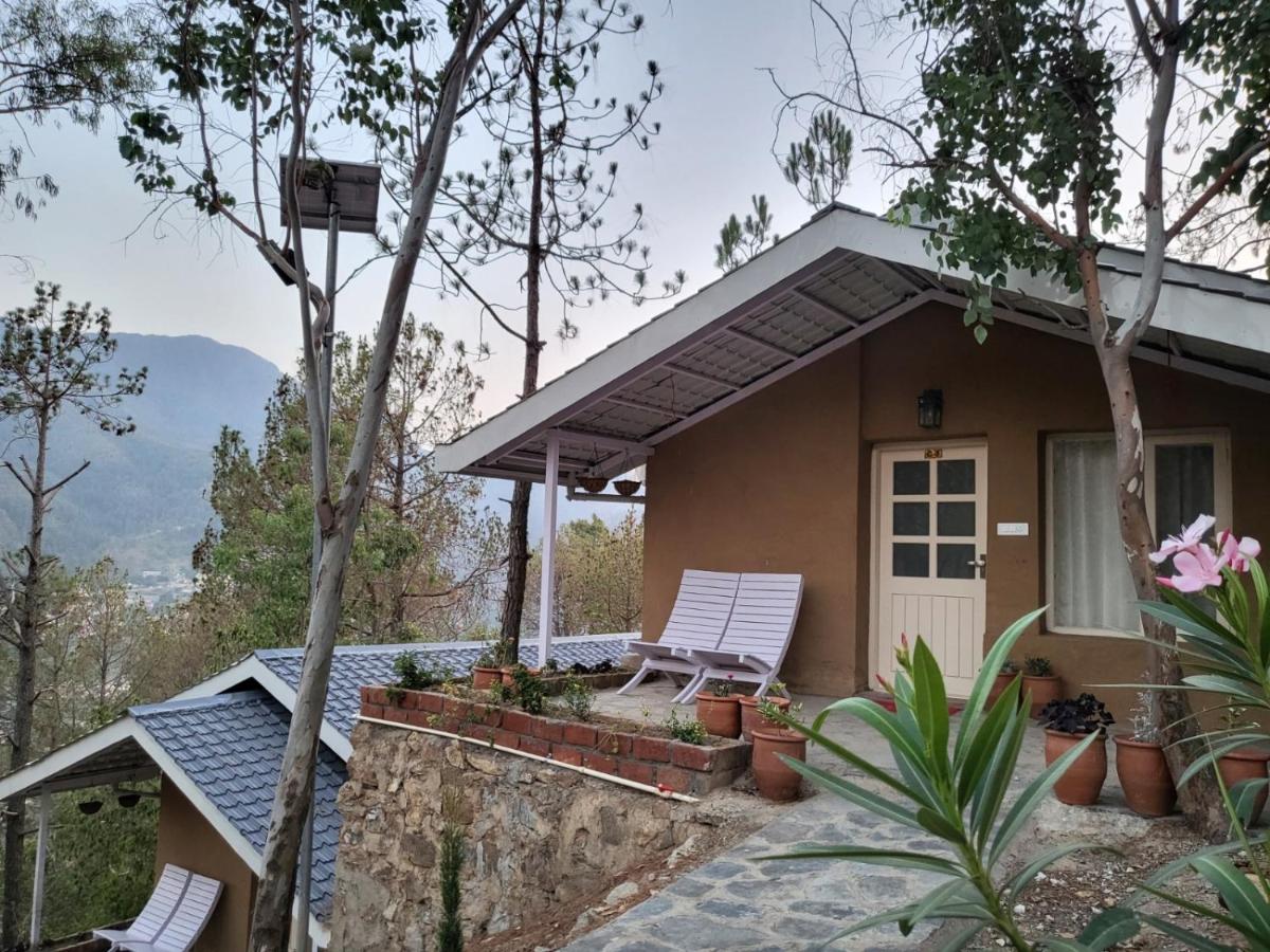 23 Best Resorts In Chail (2024)