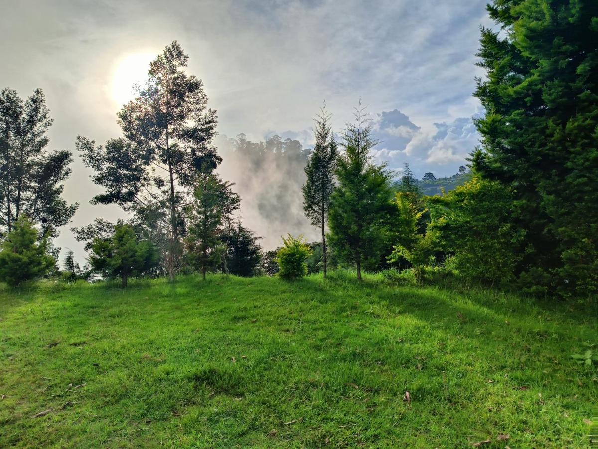 35 Best Place To Stay In Coonoor (2024) | Deals | Bookings | Prices