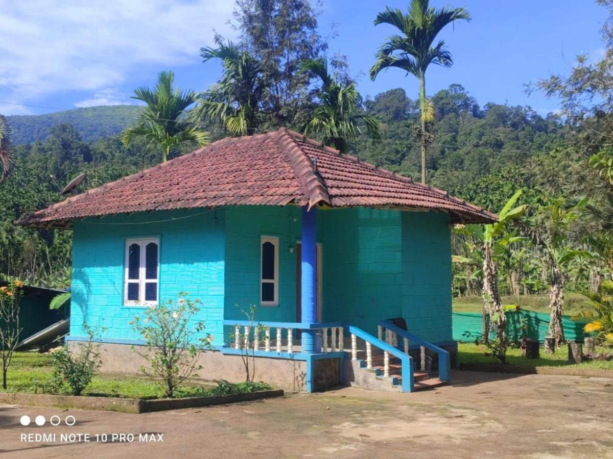 13 Best Homestays In Sringeri(2024)