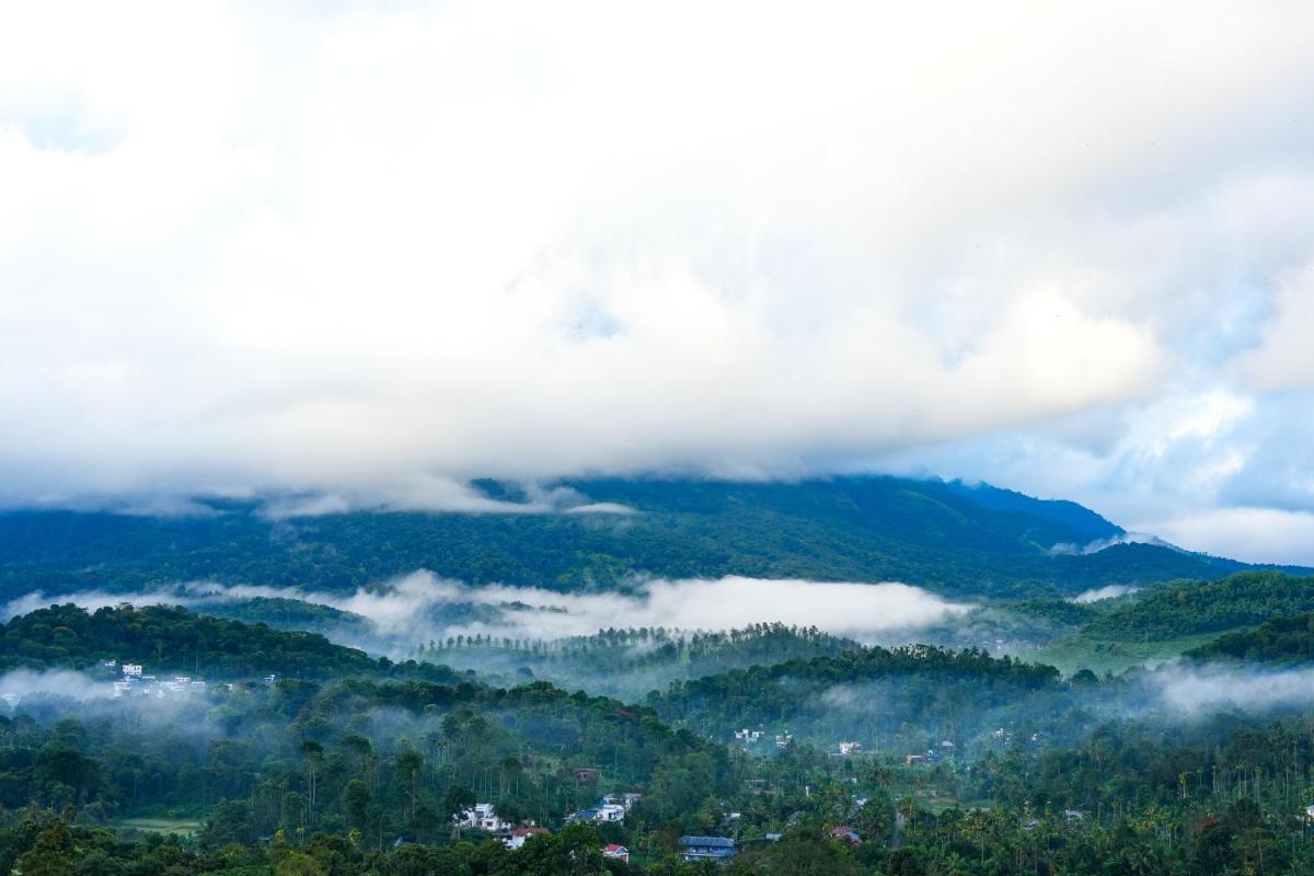 28 Best Resorts in Meppadi (2024)